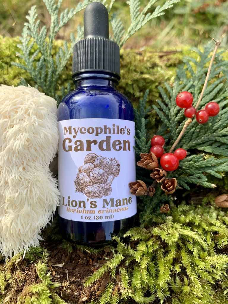 Tinctures - Lion's Mane | Mycophile's Garden